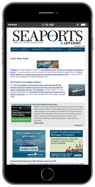 AAPA Official Media Guide