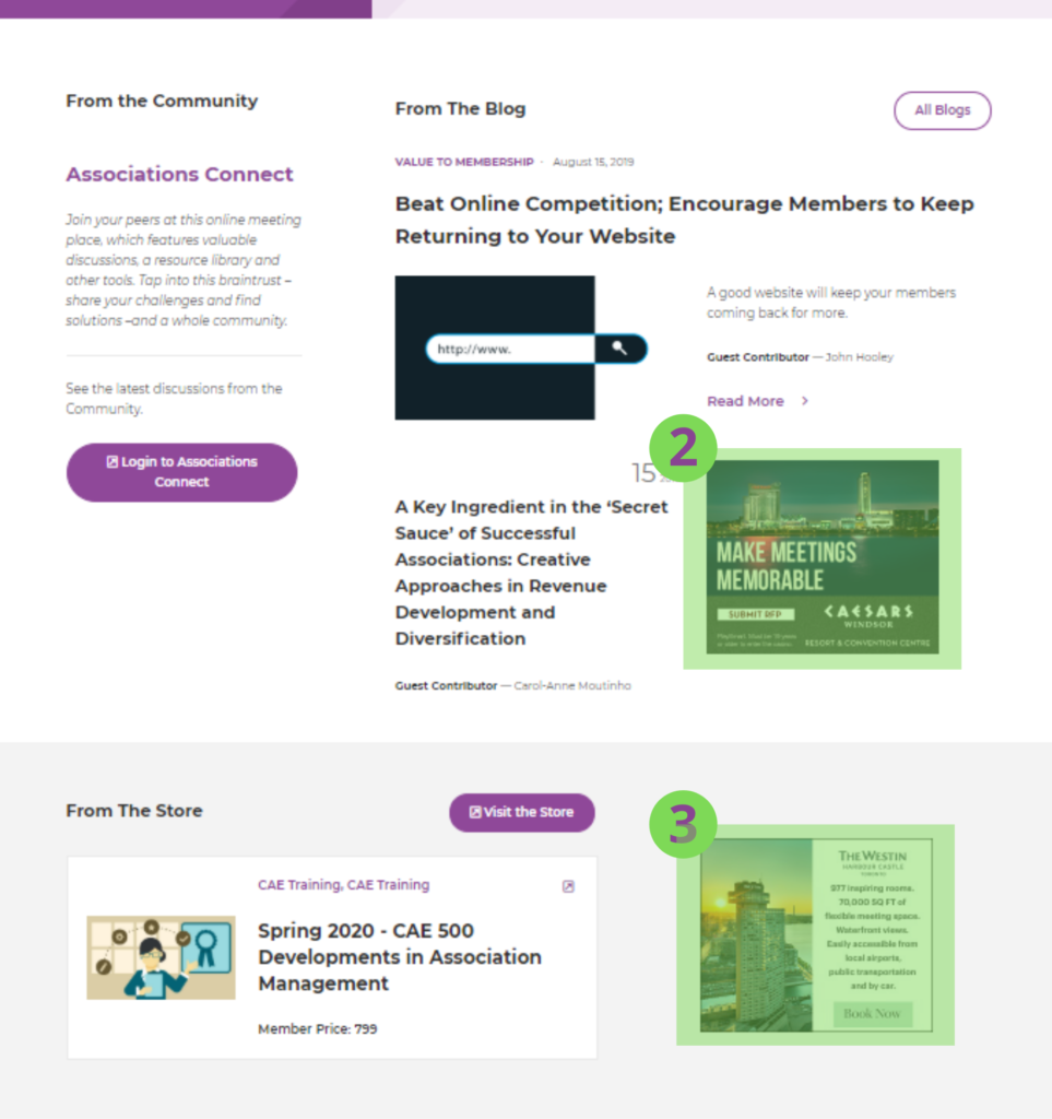 CSAE Website Sales – CSAE Media Guide